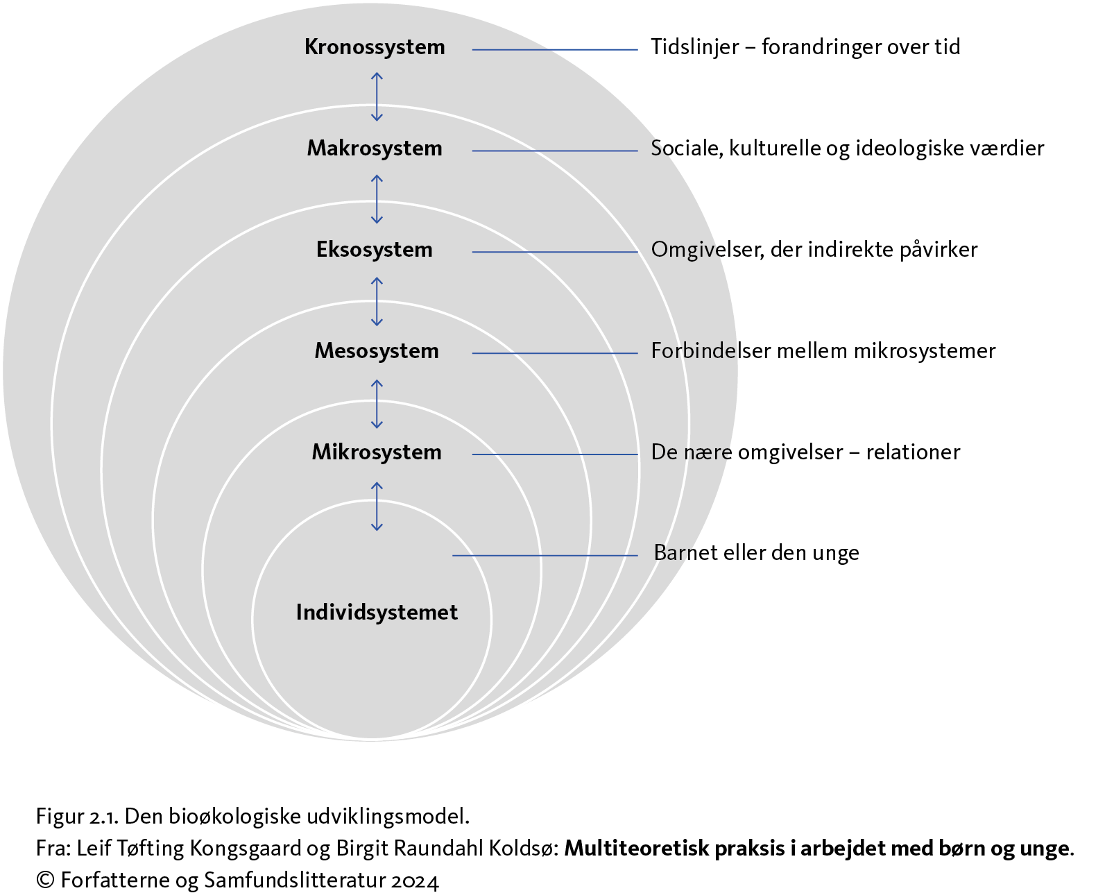Multiteoretisk praksis i arbejdet med børn og unge | Samfundslitteratur