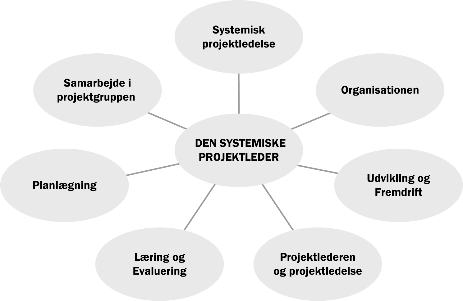 Systemisk projektledelse | Samfundslitteratur
